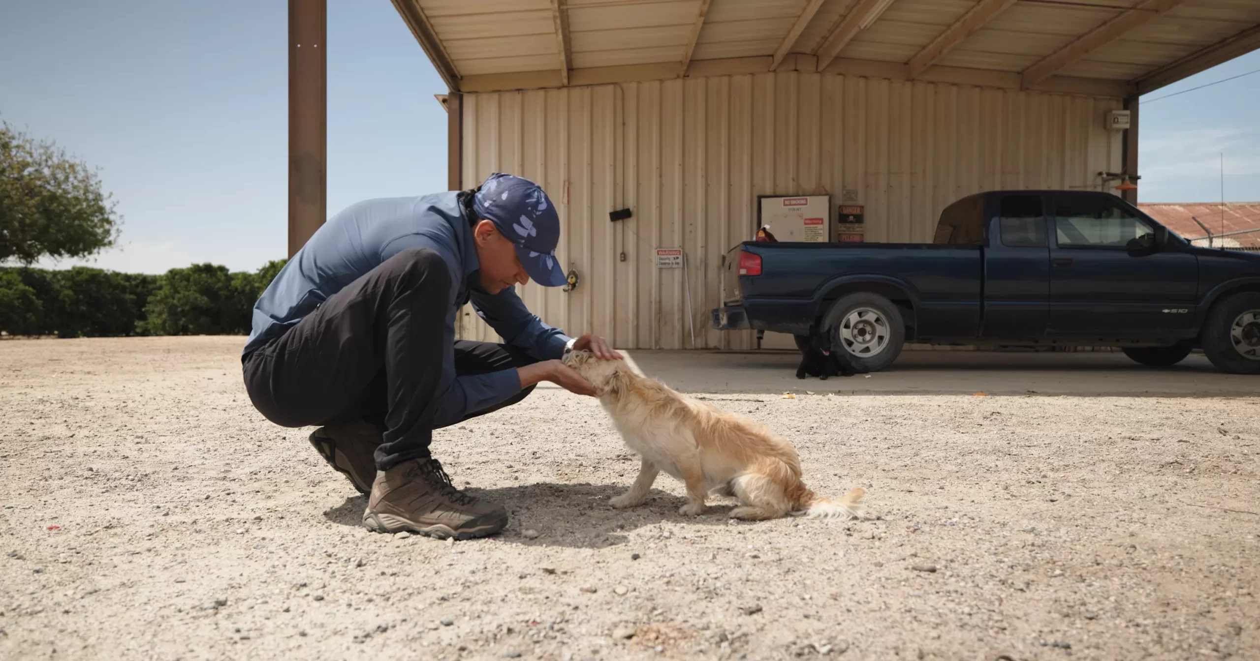 Internet Download Manager (IDM) Portable + Product Key Lifetime [Latest ...